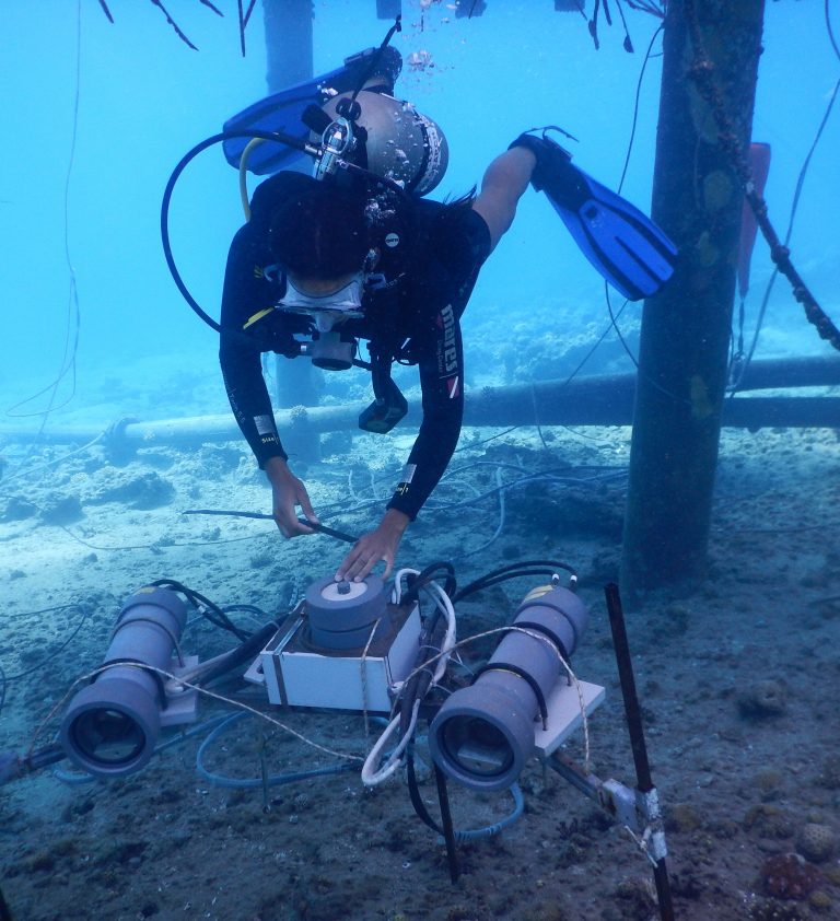 Diving right into research - The Company of Biologists