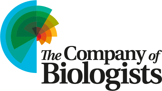 Development's Pathway to Independence Programme - The Company of Biologists