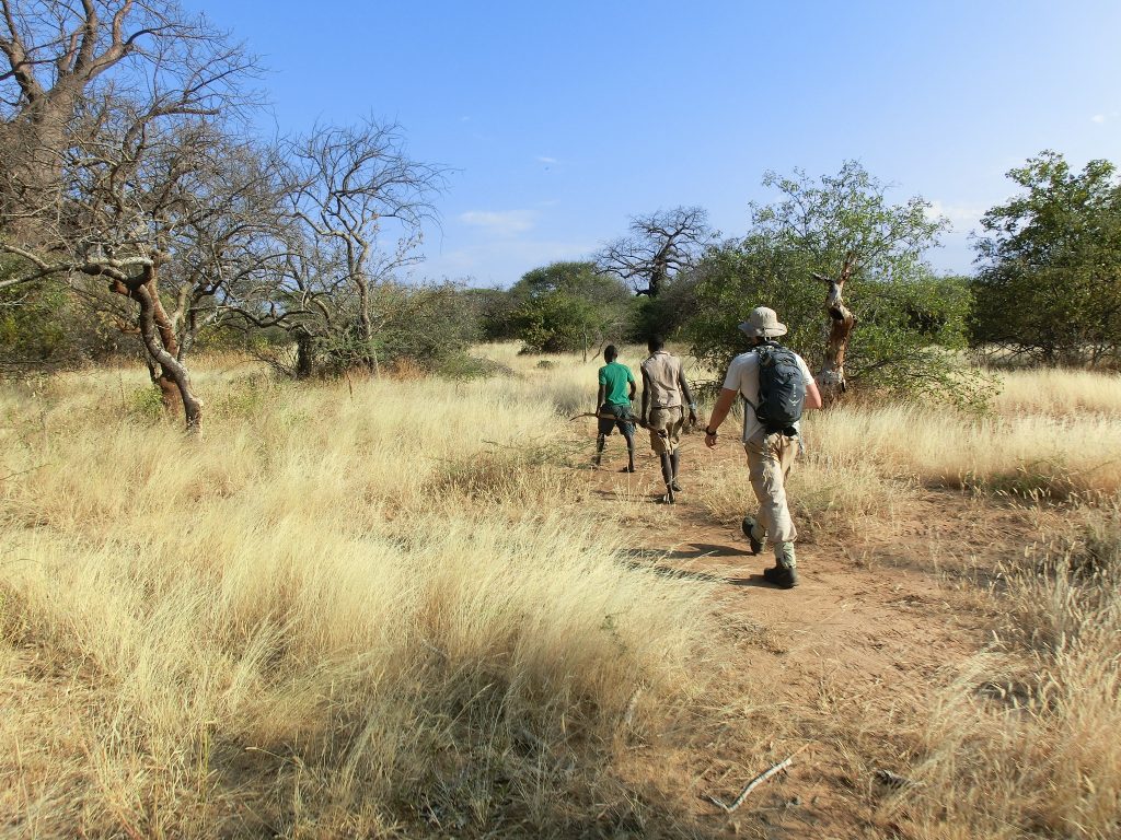 Herman Pontzer - The Company of Biologists