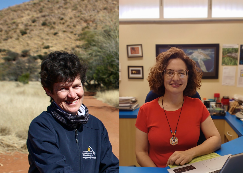 Continuing our commitment to the Global South - The Company of Biologists