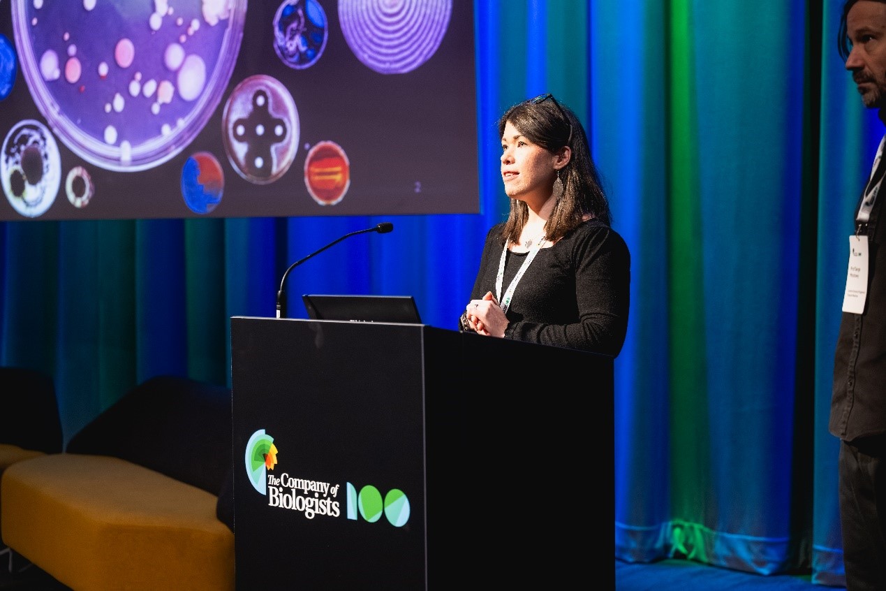 Twelve talks, one mission: insights and lessons for tackling ...